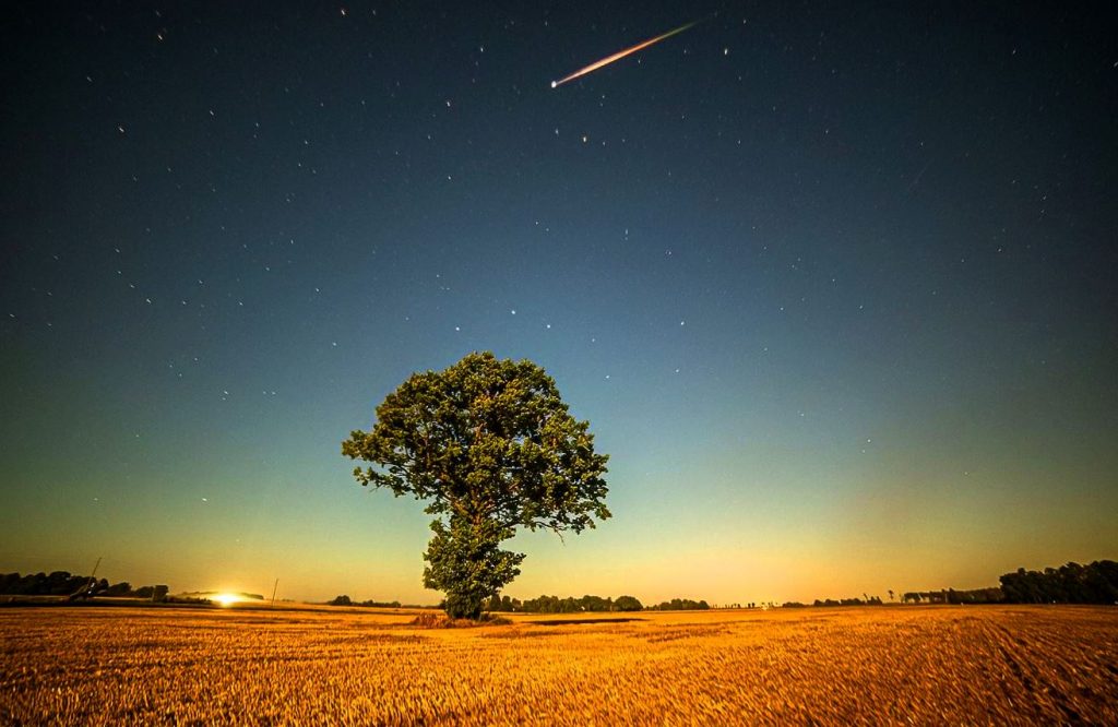Kā kurkuma palīdz veselībai. Skaidro Vija Eniņa un Ilona Ābele-Šrenka ...