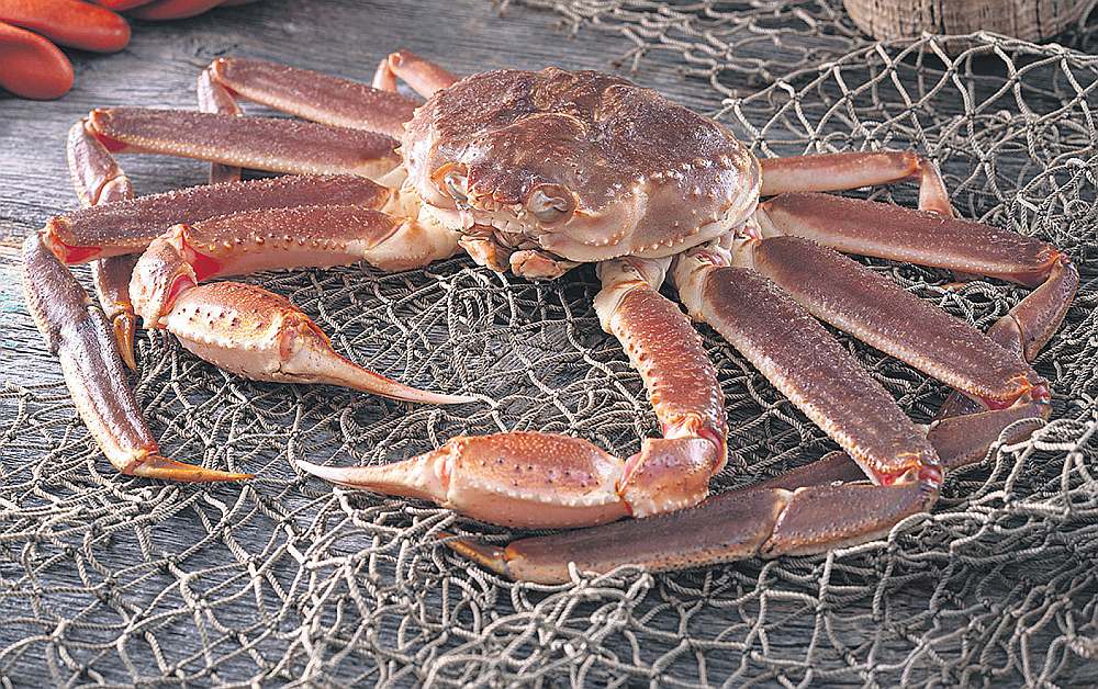 Komentāri | Ceļ trauksmi! Svalbāras krabju lietā jaunas svārstības | LA.LV