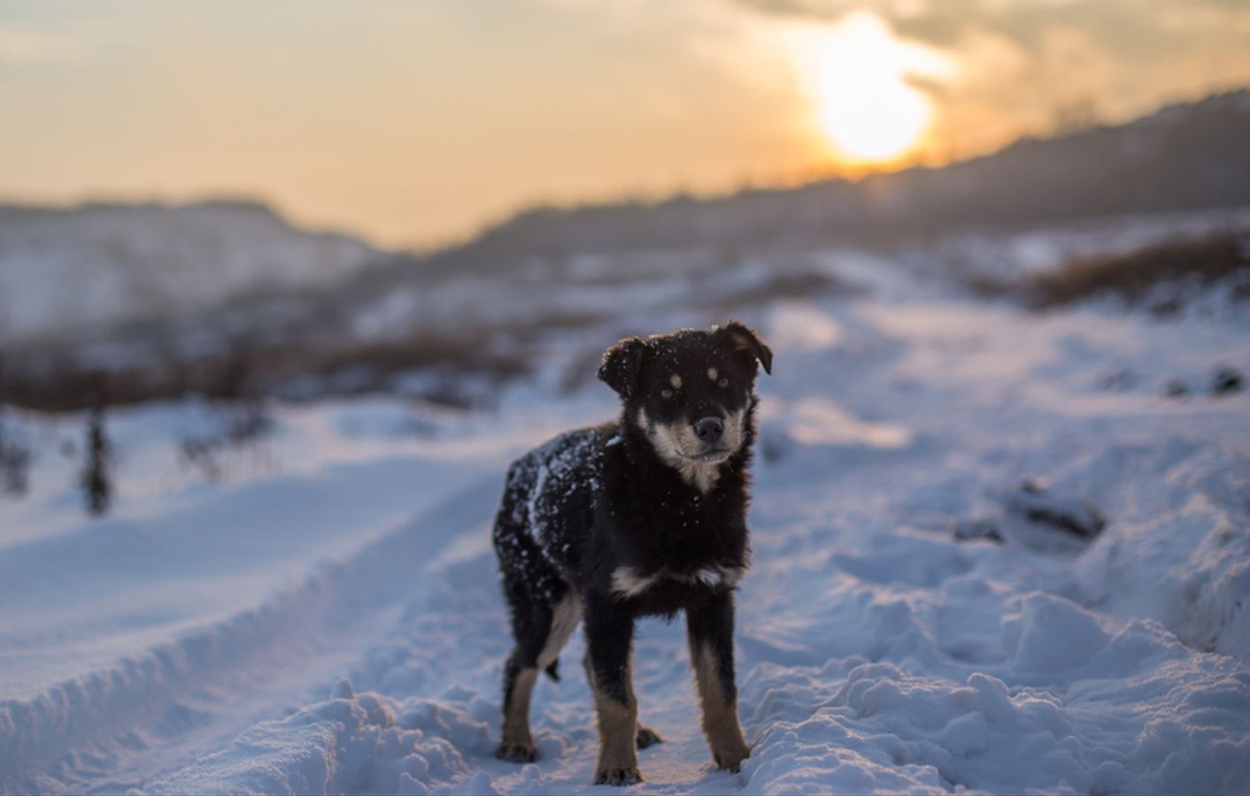 Komentāri | FOTO. “Šobrīd nav nozīmes, tas ir labi vai slikti – tā ...
